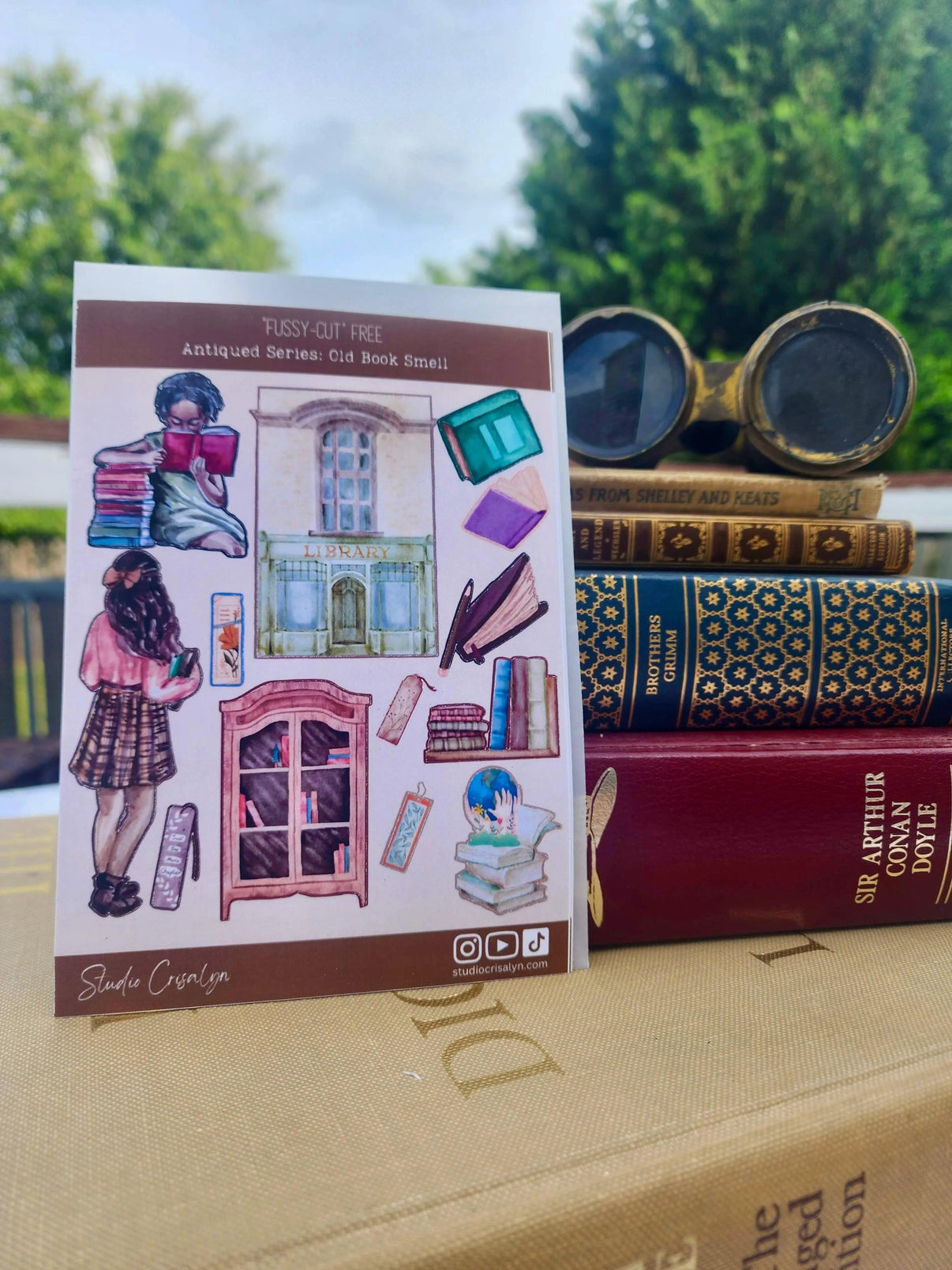 Old Book Smell Stickers - Vintage Antiqued Book Set – Studio Crisalyn