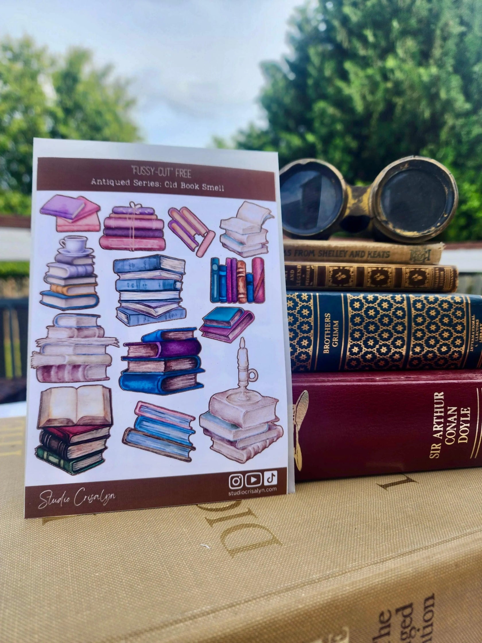 Old Book Smell Stickers - Vintage Antiqued Book Set – Studio Crisalyn