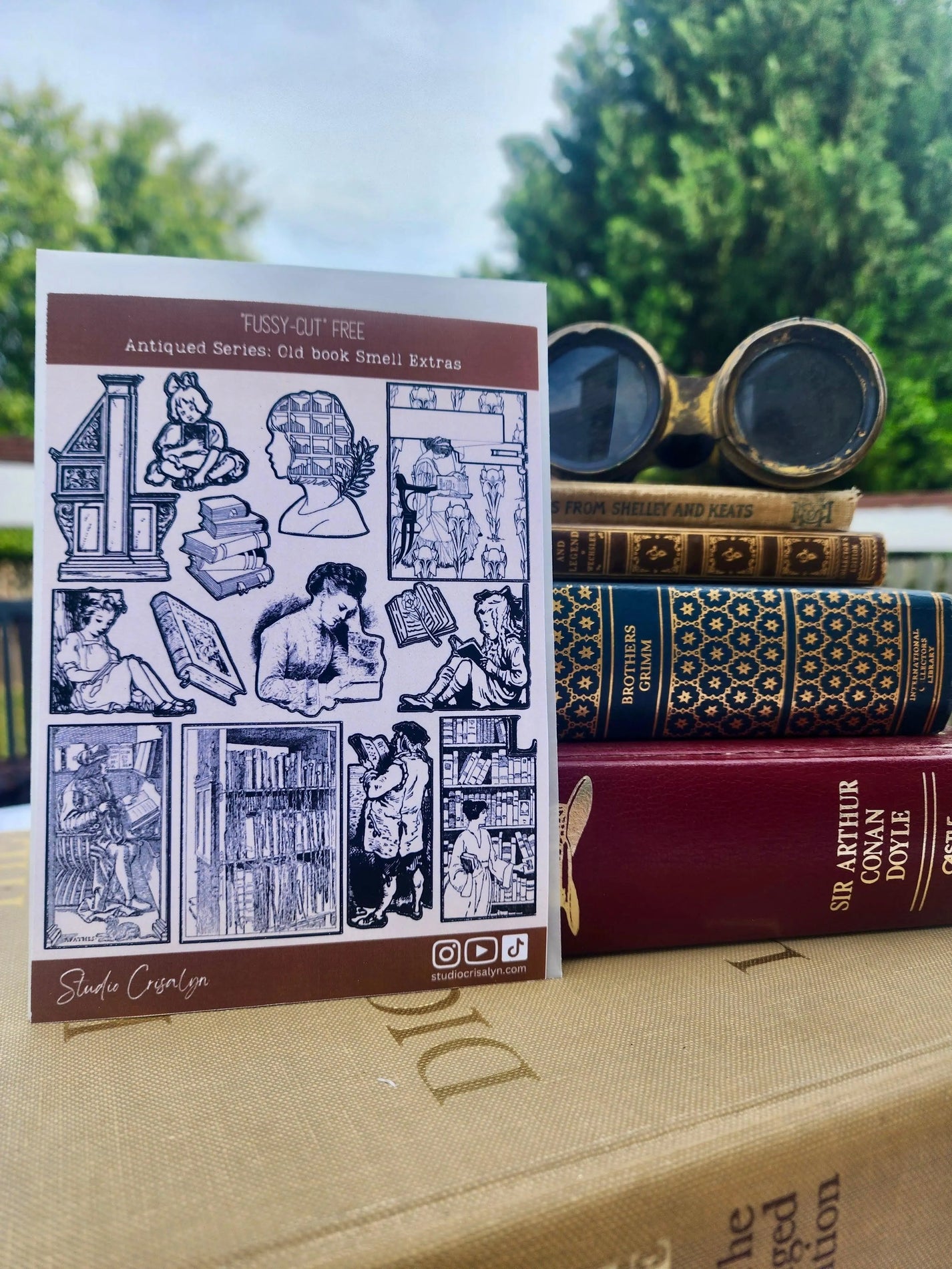 Old Book Smell Stickers - Vintage Antiqued Book Set – Studio Crisalyn